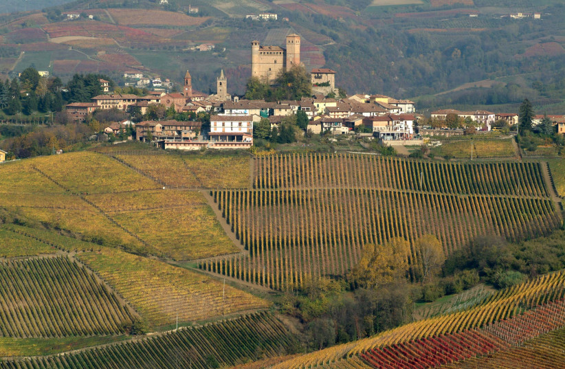 Wine Talk: The name says it all - The Jerusalem Post