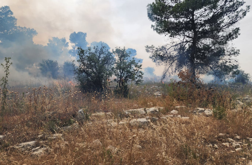 Over 170 wildfires break out across Israel amid heavy heatwave - Israel ...