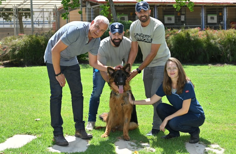 Israel Police adopt dog seriously injured in Netanya murder - Israel ...