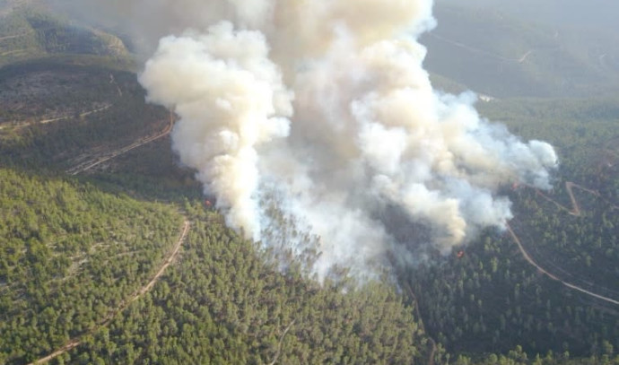 Hundreds of acres burned in Jerusalem forest fire - Israel News - The ...