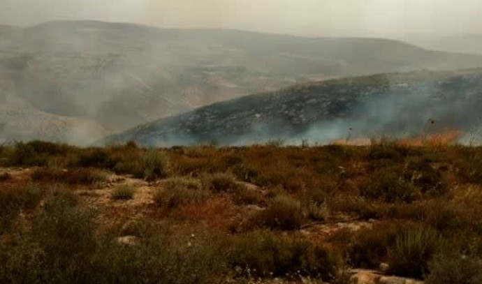 West Bank hills set on fire for fourth time in two days - The Jerusalem ...