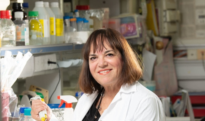 Breakthrough from BGU scientists could change how we treat cancer - The ...