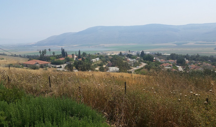 Ein Harod's wheat harvest will make matzah for next year's Passover ...