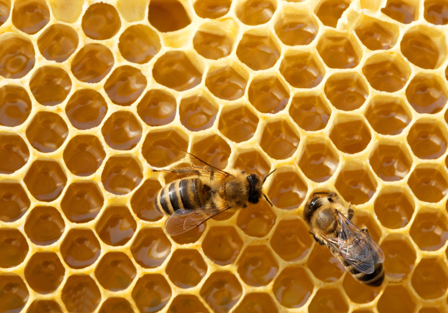 Bees - among most vital creatures on Earth - join…