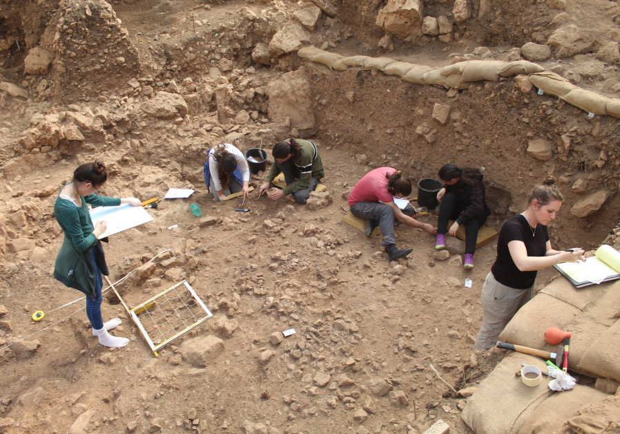 Archaeologists reveal ancient Israel ‘prehistoric snack’ - The ...