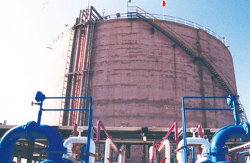 ILA, Environment Ministry publish tender for new ammonia plant in Rotem ...