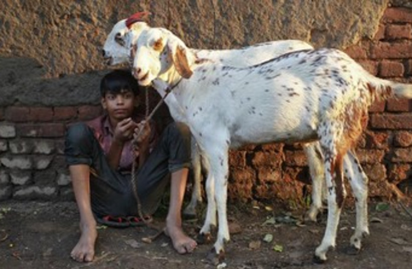 Belgian ‘Holocaust ad’ against ritual slaughter riles Jews, Muslims ...