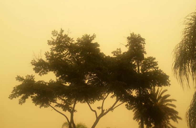 Thickest dust storm in 15 years blankets country in orange haze - The ...