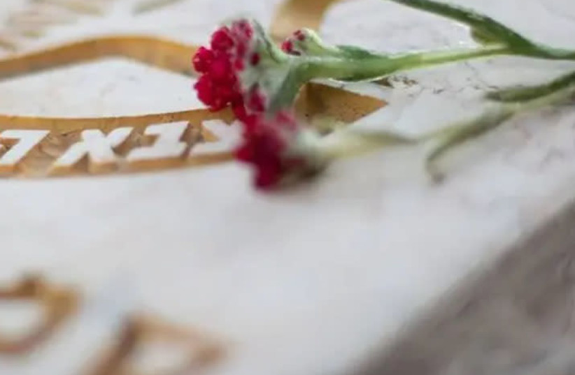Blood of the Maccabees: How a red flower became the symbol of Memorial ...