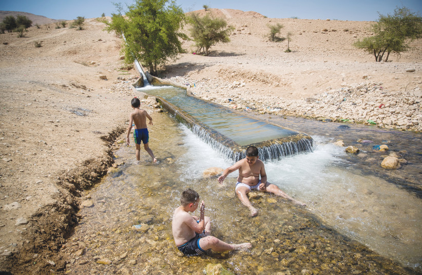 Environmental cooperation between Israel, Arab states, can build peace ...
