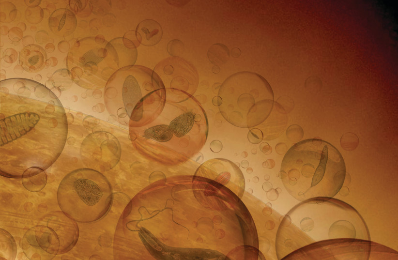 Is there life on Venus? This privately-funded mission seeks to find out ...
