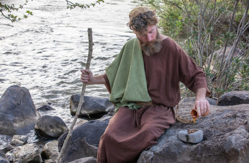 Biblical energy bars: Made of locusts, just like John the Baptist ate ...