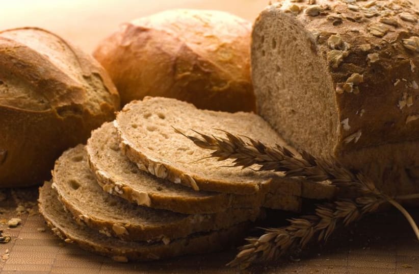 Health minister: Whole-wheat food must be cheaper - Health - The ...