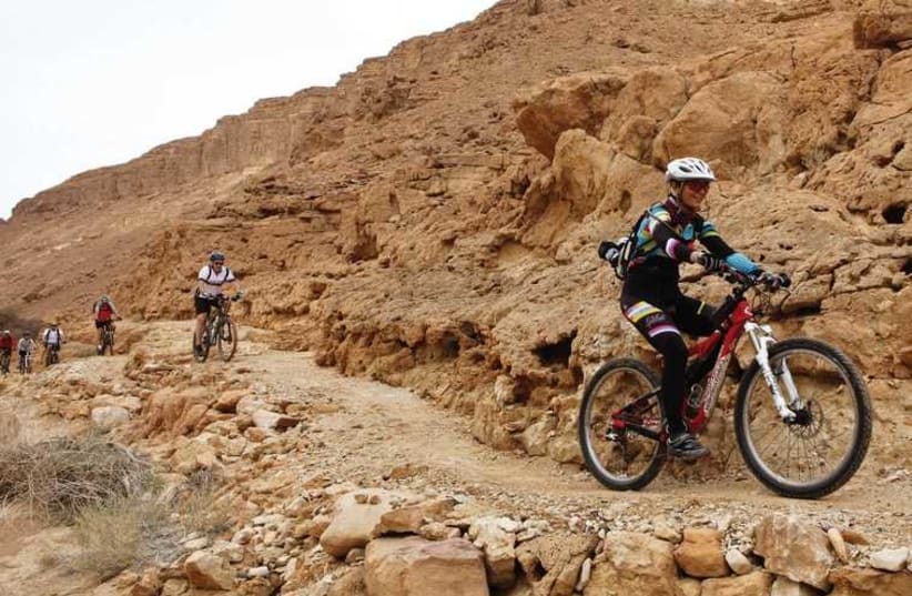 Going off-road in the Negev - The Jerusalem Post