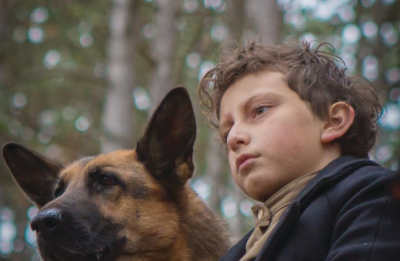 The making of ‘Shepherd: The Story of a Jewish Dog’ - Israel Culture ...