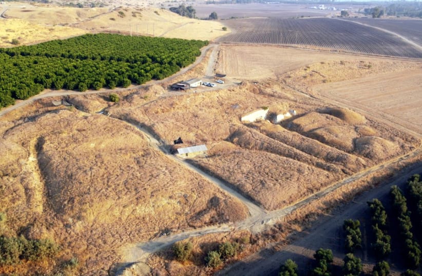 Israel's Jordan Valley opens new Ubeidiya National Park to public ...