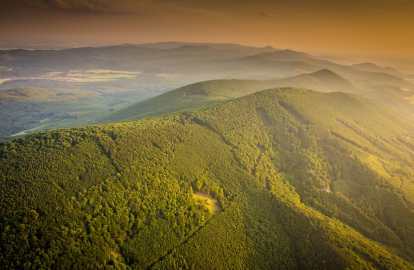 Slovakia promotes tourism for Trnava Region at IMTM in Tel Aviv - The ...