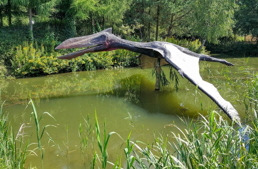 Ancient 'Dragon of Death' flying reptile discovered in Argentina - The ...