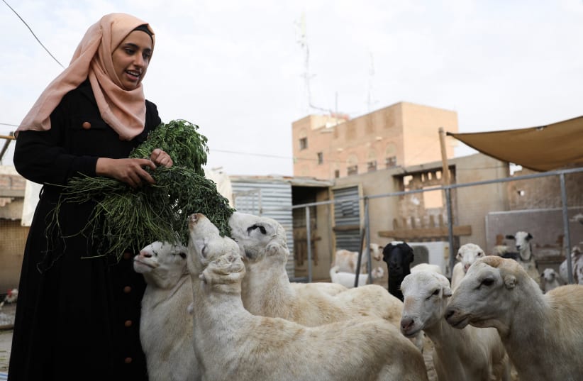 UN sees renewed momentum toward Yemen peace spurred by Saudi, Iran deal ...