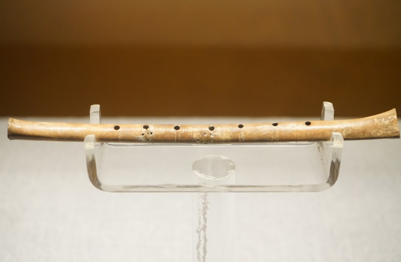 Rare flute carved from bone discovered in England - The Jerusalem Post