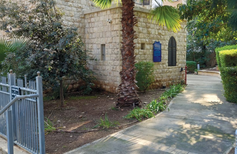 Haifa art exhibit shows new life for traditional art techniques - The ...