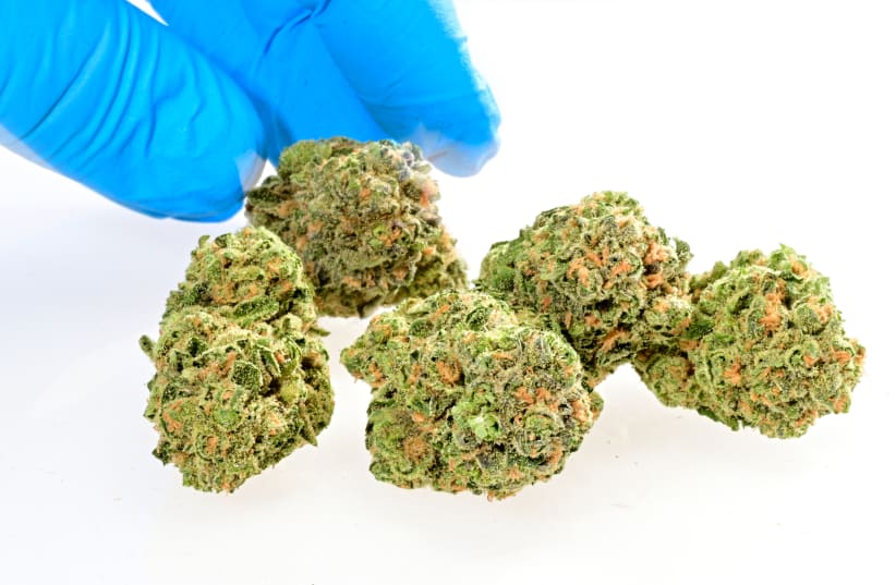 Accessibility to medical cannabis in Israel to be made easier for some ...