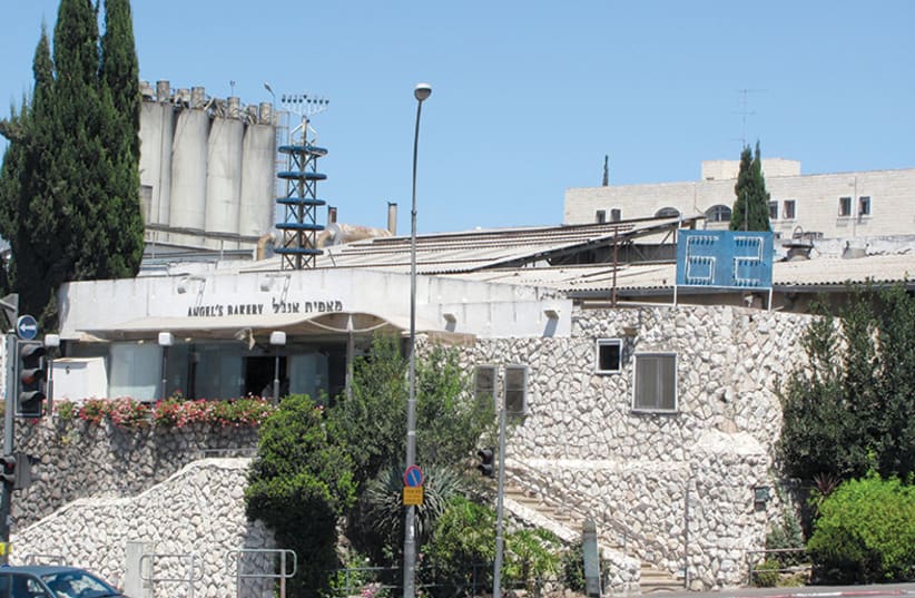 Grapevine: The Angels - Israel News - The Jerusalem Post