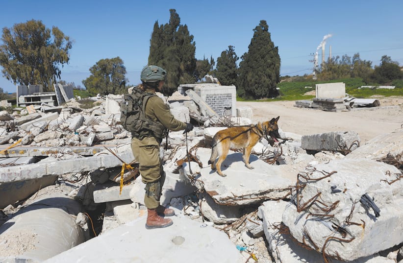 Israel's Dog Unit joins search for missing Ethiopian girl - Israel News ...